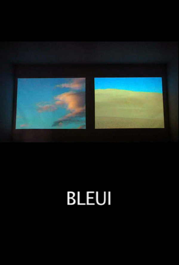 Bleui (Middle Sky) - Réalisatrices Équitables